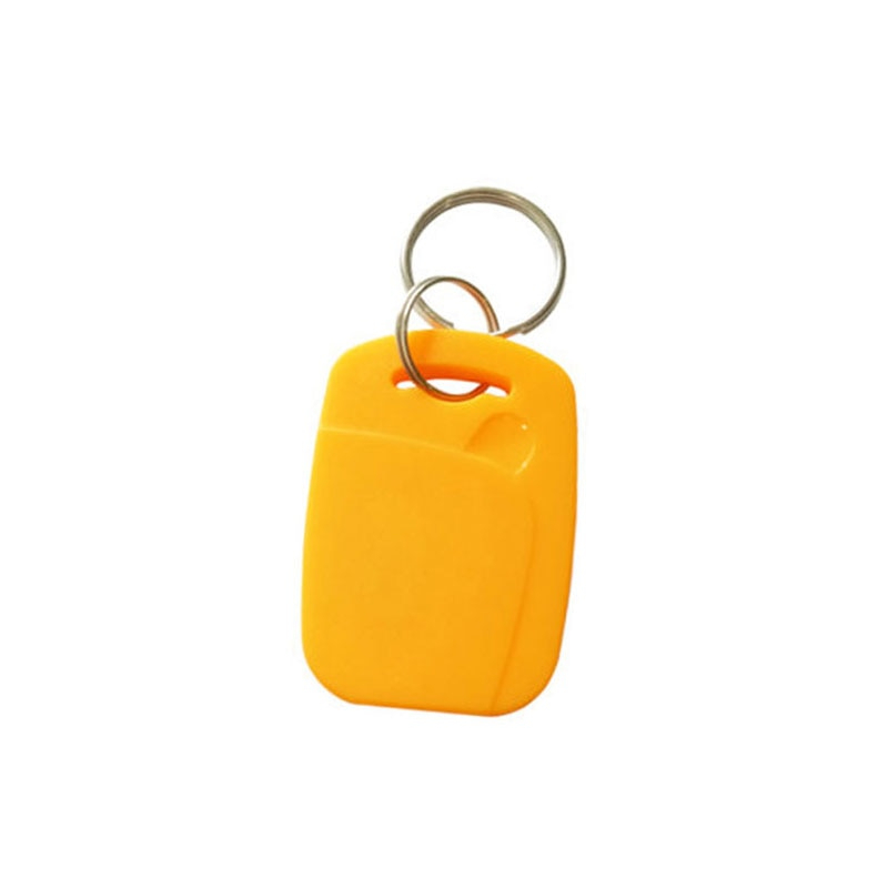 Dual Chip 125KHz T5577 + 13.56MHz MIFARE Classic 1K(S50) Blank RFID Key ...